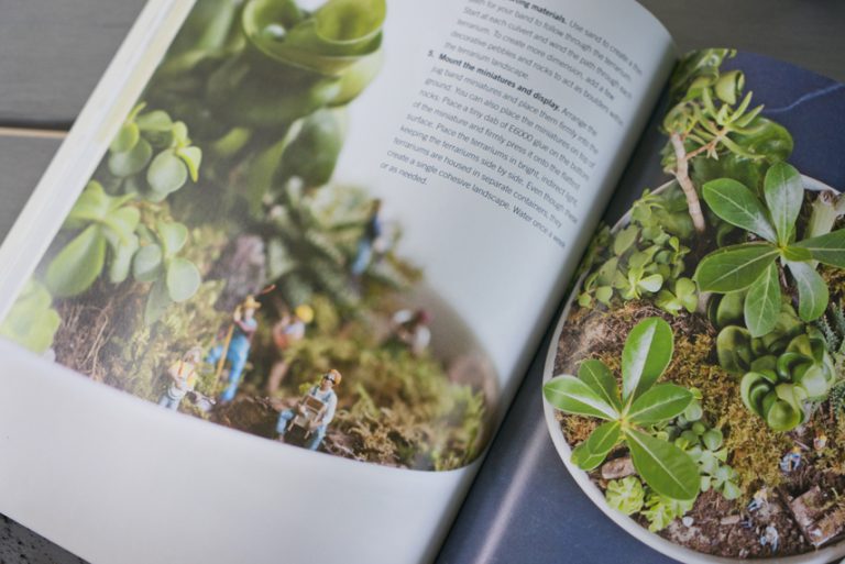 Modern Terrarium Studio Book Review - Urban Jungle Bloggers