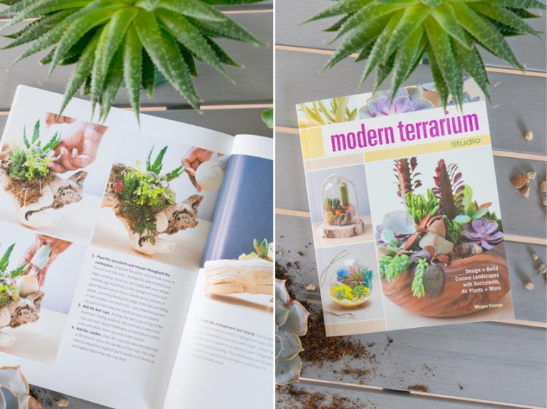 Modern Terrarium Studio Book Review - Urban Jungle Bloggers