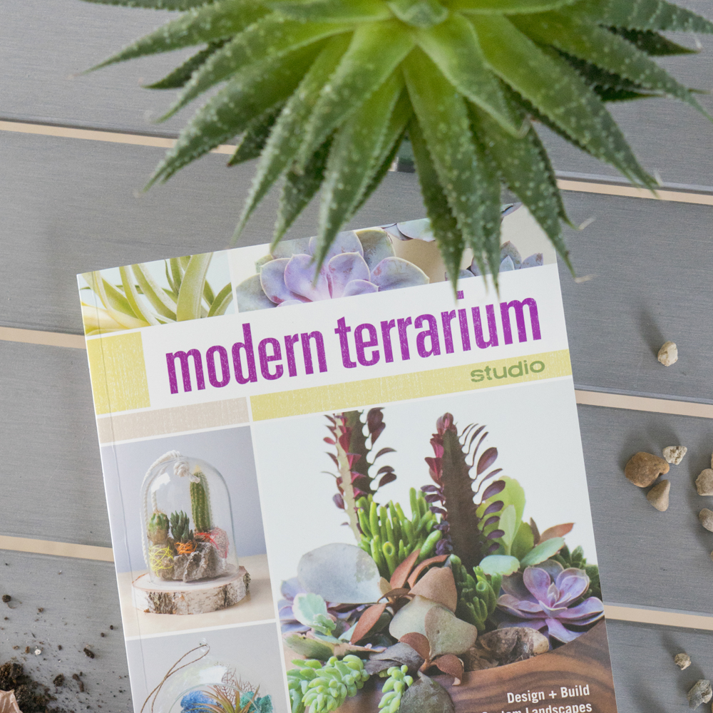 Modern Terrarium Studio Book Review - Urban Jungle Bloggers