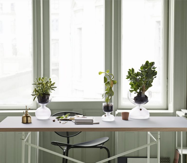 Holmegaard's New Botanical Glassware - Urban Jungle Bloggers