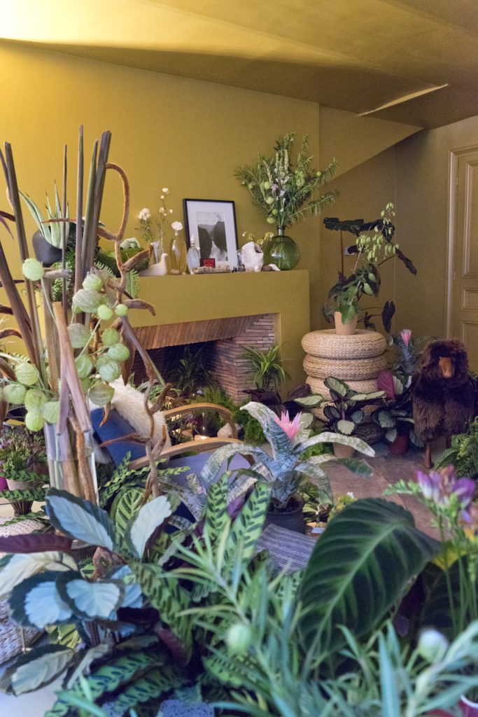 Plant Trends for 2017 by The Joy of Plants - Urban Jungle Bloggers