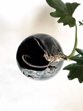 Dirty Roots Berlin - Urban Jungle Bloggers