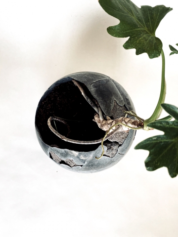 Dirty Roots Berlin - Urban Jungle Bloggers