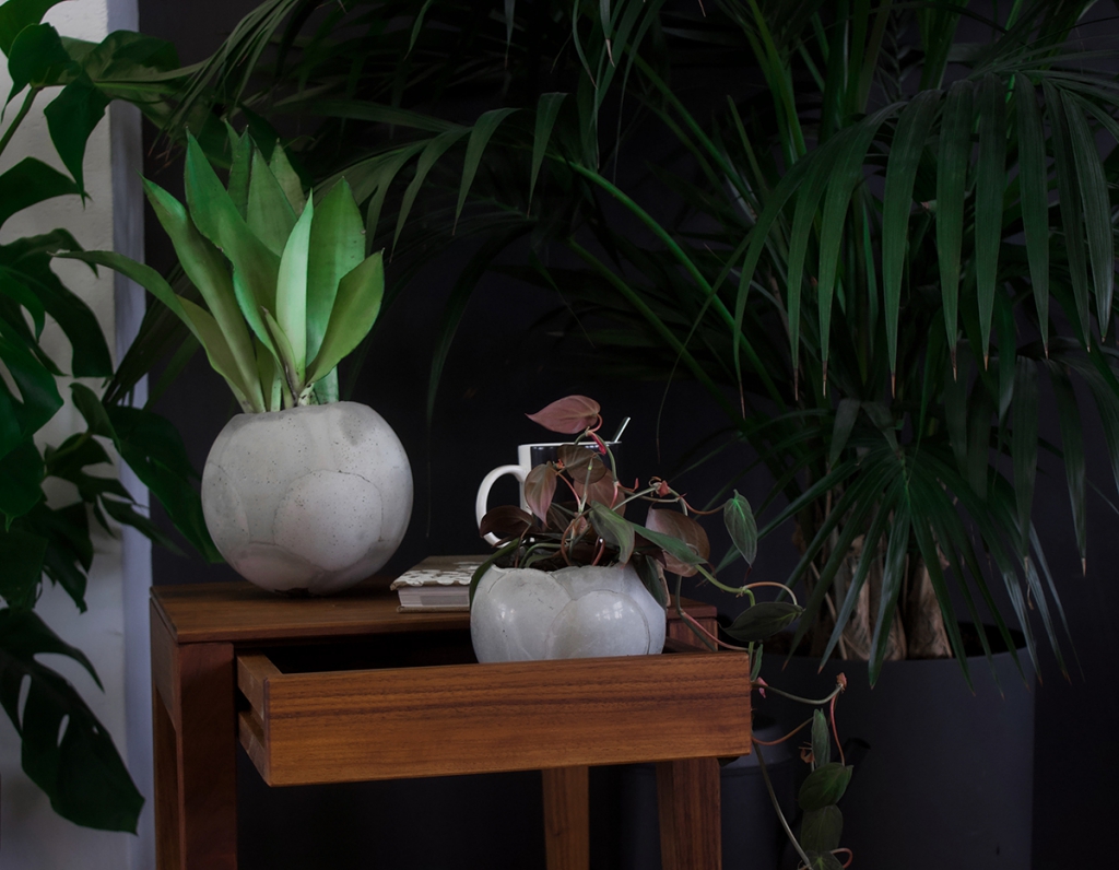 Dirty Roots Berlin - Urban Jungle Bloggers