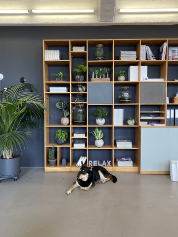 Dirty Roots Berlin - Urban Jungle Bloggers