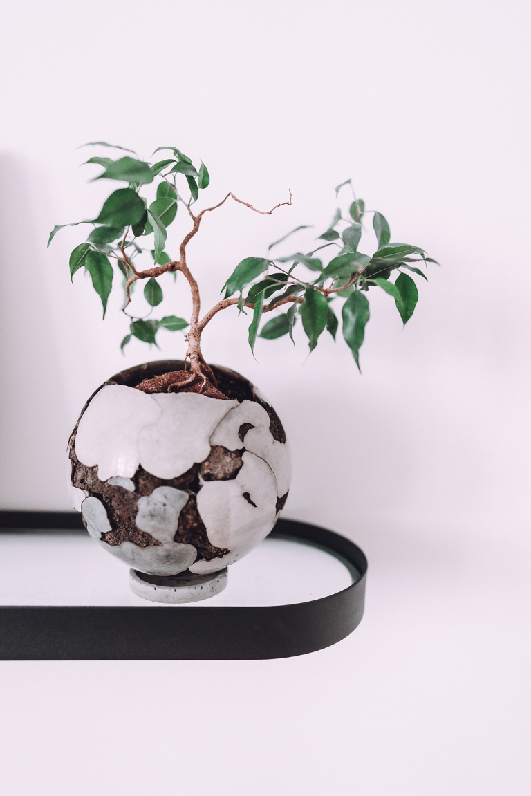 Dirty Roots Berlin - Urban Jungle Bloggers